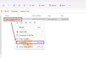 How to Burn Windows 11 ISO Image to DVD