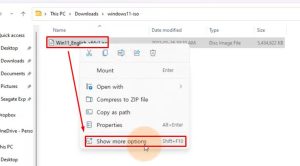 How to Burn Windows 11 ISO Image to DVD