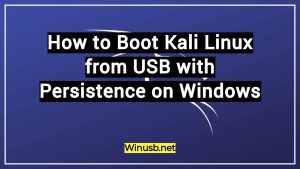 How to Boot Kali Linux from USB with Persistence on Windows
